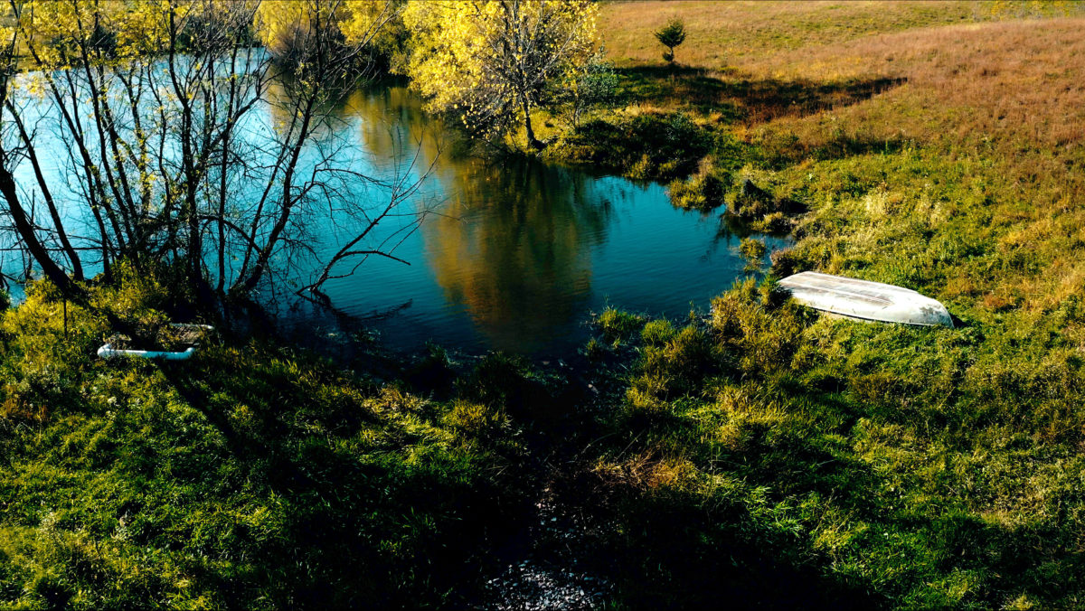 Home - The Sanctuary